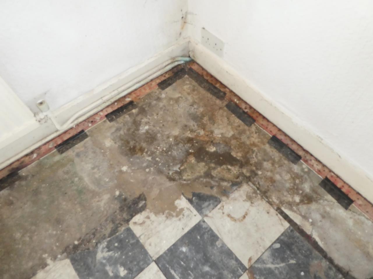 Defects Gallery | NM Home Surveys